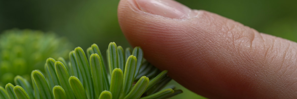 Seeing Nature Differently — Center for Action and Contemplation