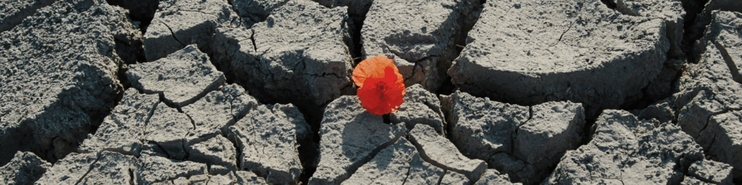 The Mystical Path — Center for Action and Contemplation